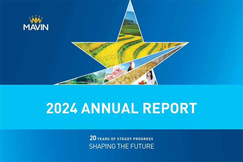 Mavin Group Officially Releases 2024 Annual Report