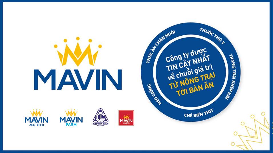 Slide giới thiệu Mavin