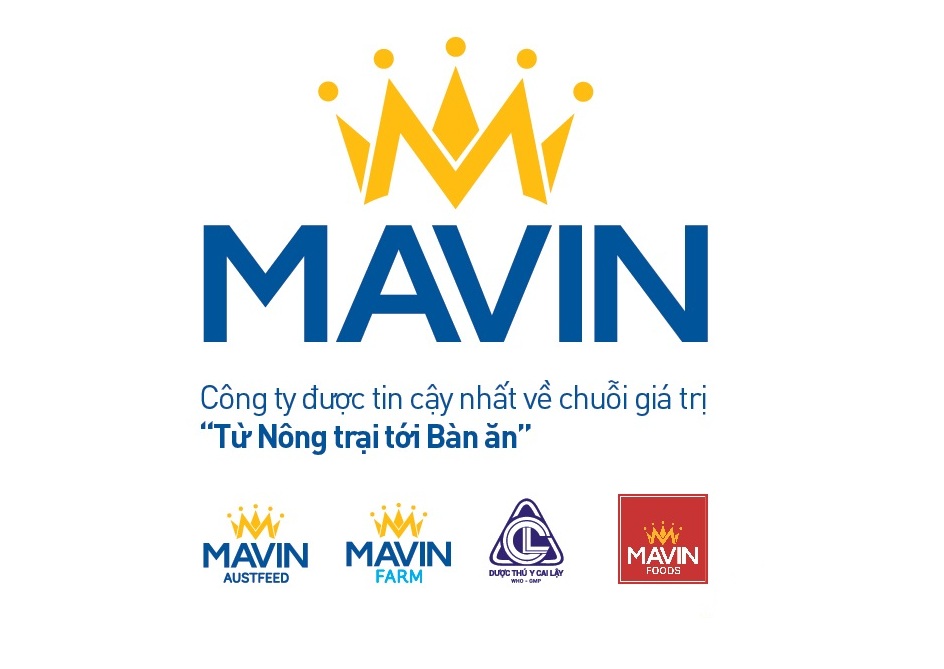 Nhận diện thương hiệu