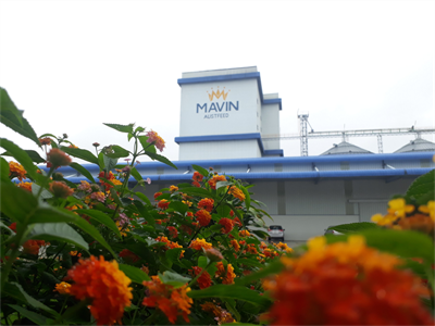 Mavin Group