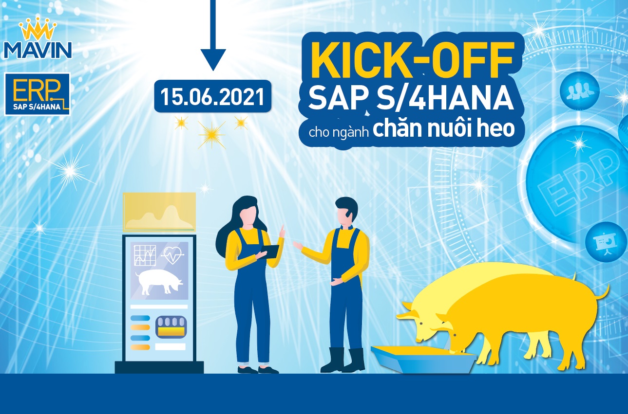 Mavin applies ERP SAP S/4HANA for the Swine Business
